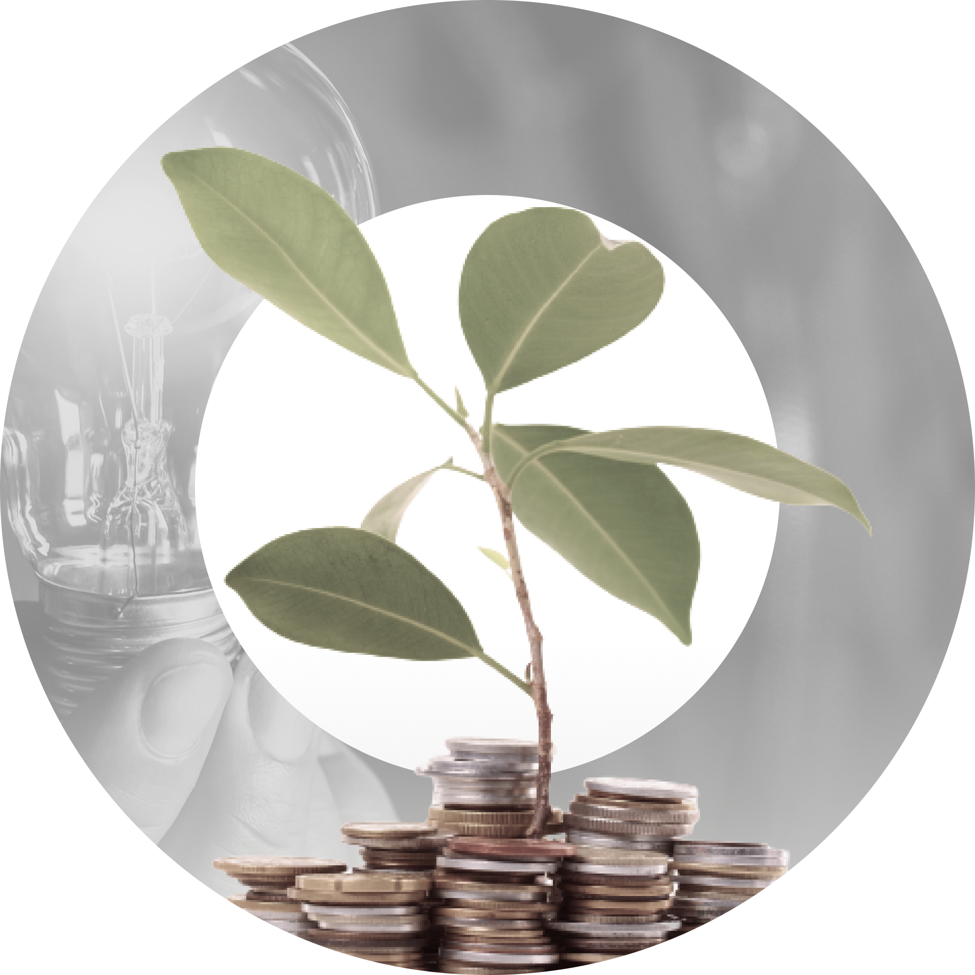 Grow your wealth | Bank of Singapore